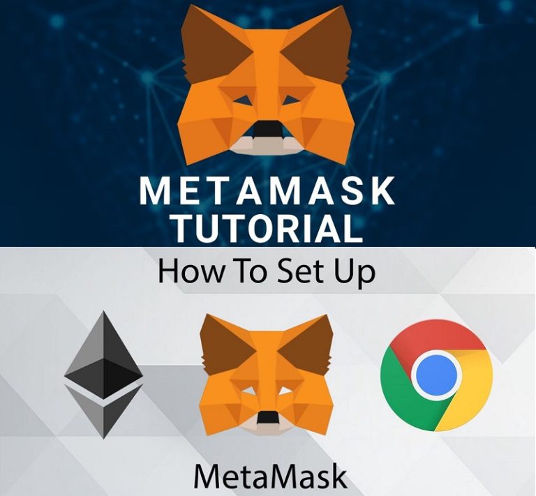 How to Download & Setup Metamask Wallet on Mobile & PC